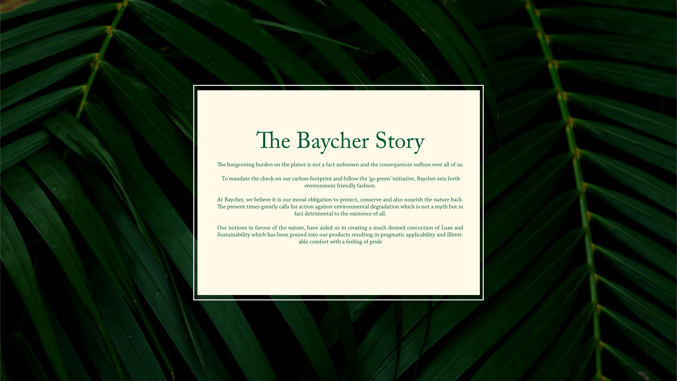 Story - BAYCHER